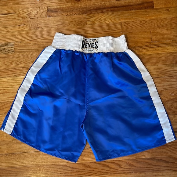 Cleto Reyes | Shorts | Cleto Reyes Satin Boxing Trunks | Poshmark